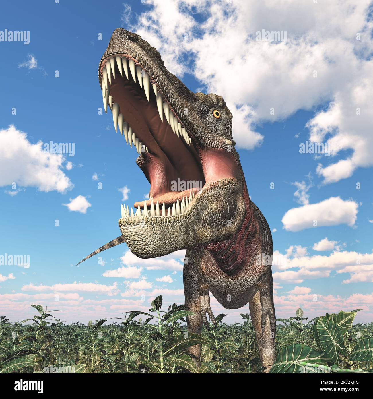 Tarbosaurus 3d Banque de photographies et d’images à haute résolution ...