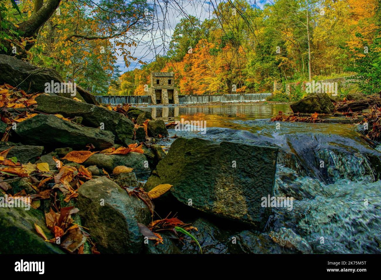 Speedwell island Banque de photographies et d’images à haute résolution ...
