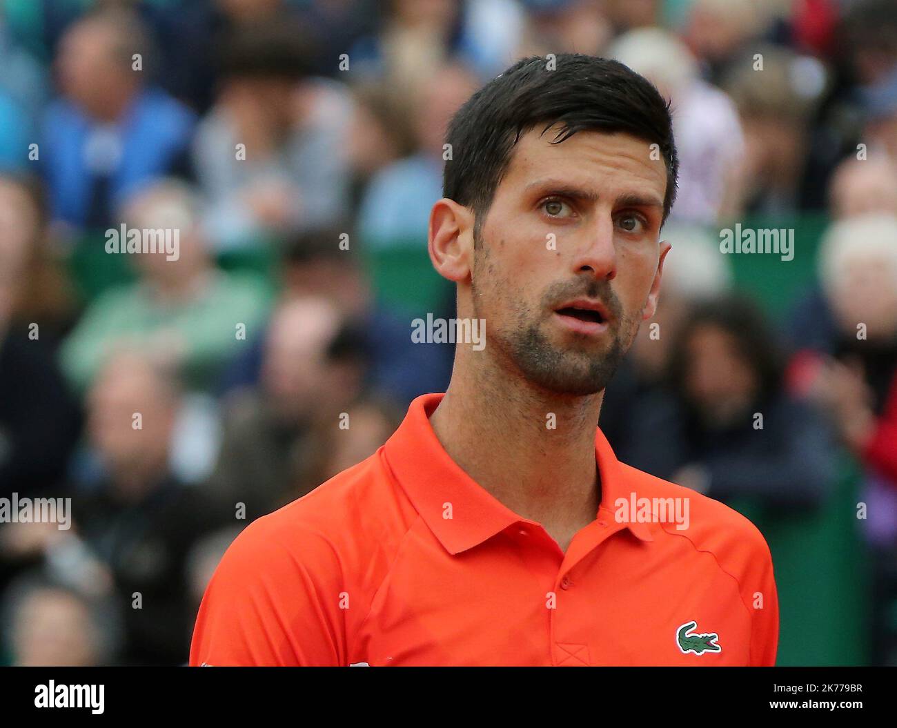 Portrait novak djokovic Banque de photographies et d’images à haute ...