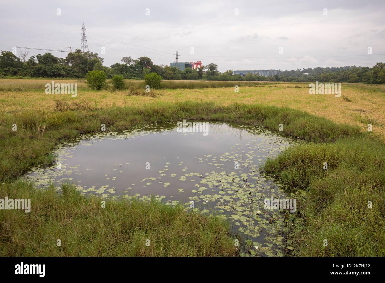Vieux pont borim Banque de photographies et d’images à haute résolution ...