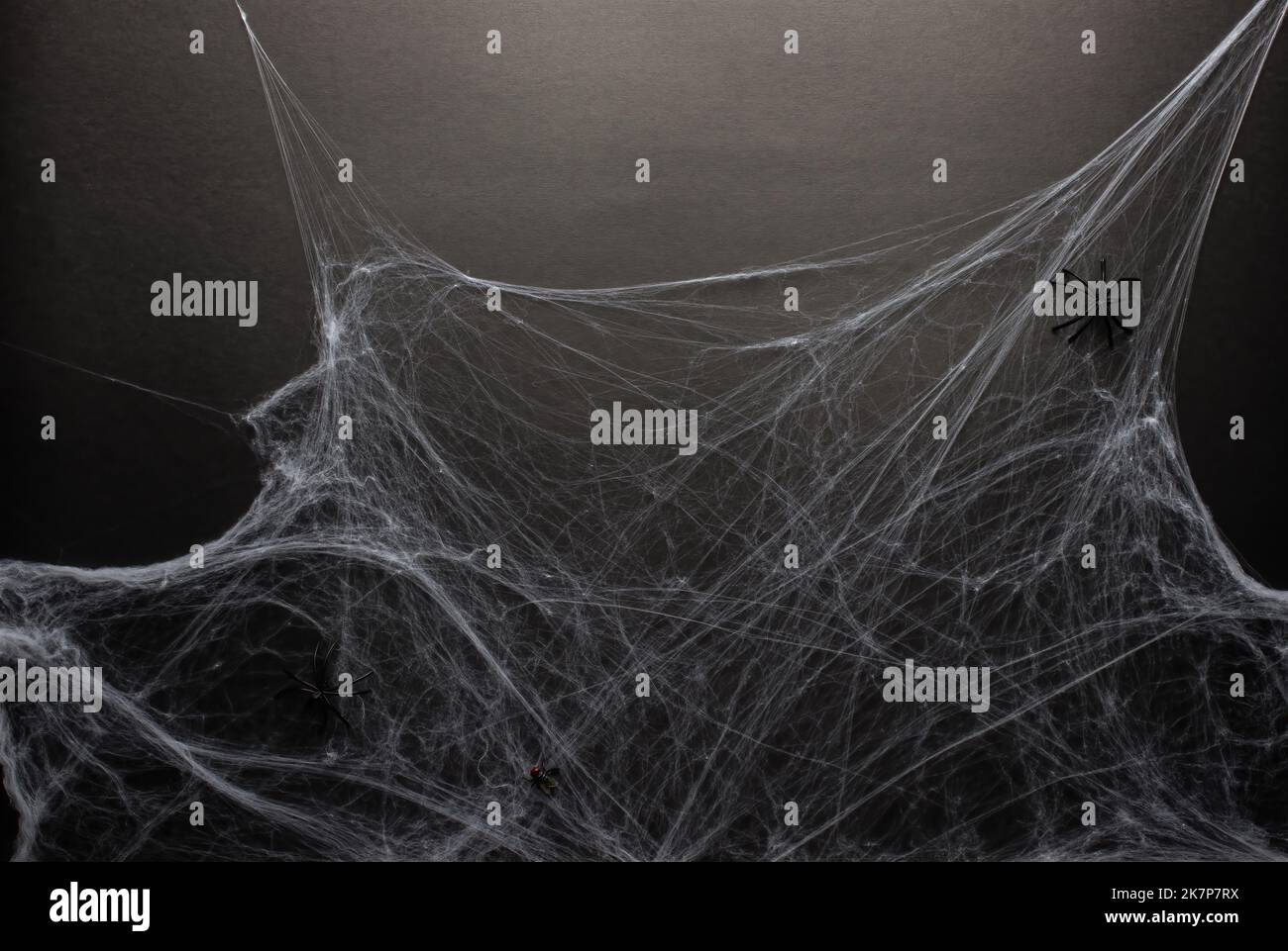 Toile d'araignée sur fond noir, petites araignées dans les coins et une ...