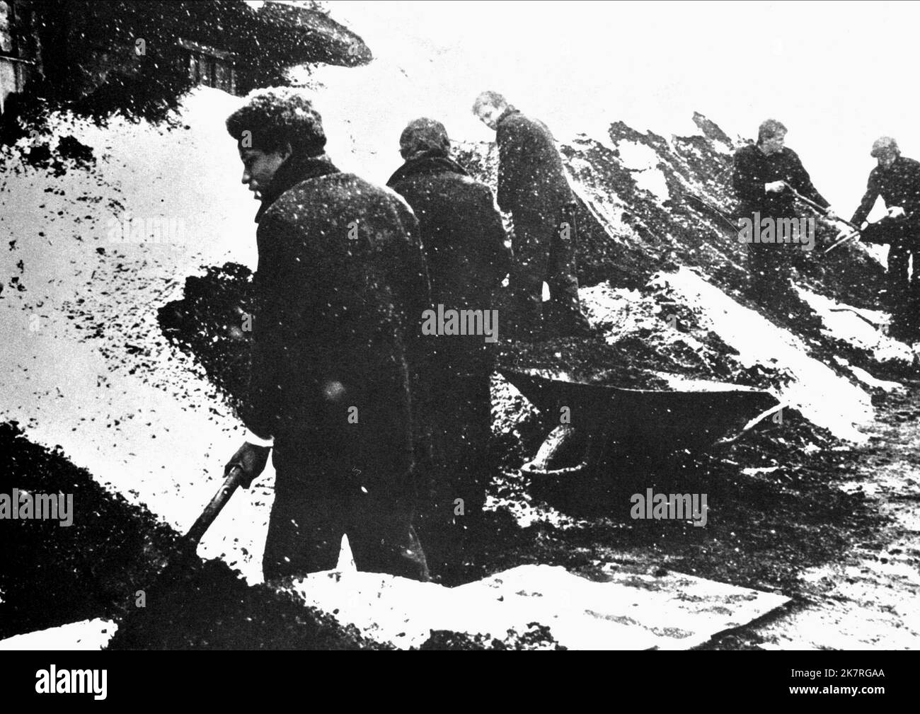 Scum film Banque de photographies et d’images à haute résolution - Alamy