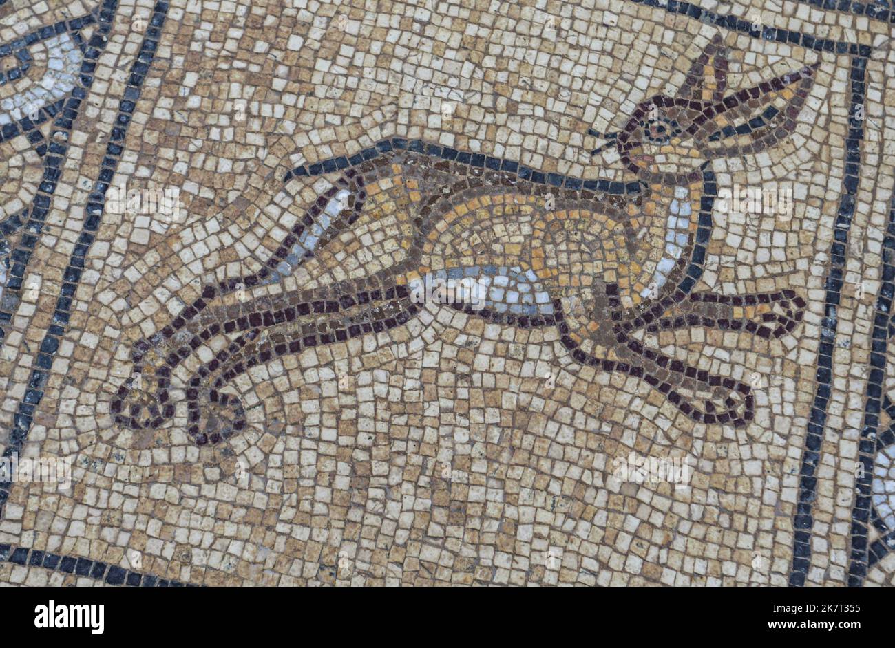 Détail du sol en mosaïque de l'époque byzantine découvert récemment par ...