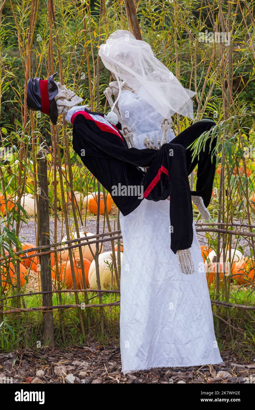 Squelette de mariée et de marié à Pumpkin Time à Sunnyfields Farm à ...