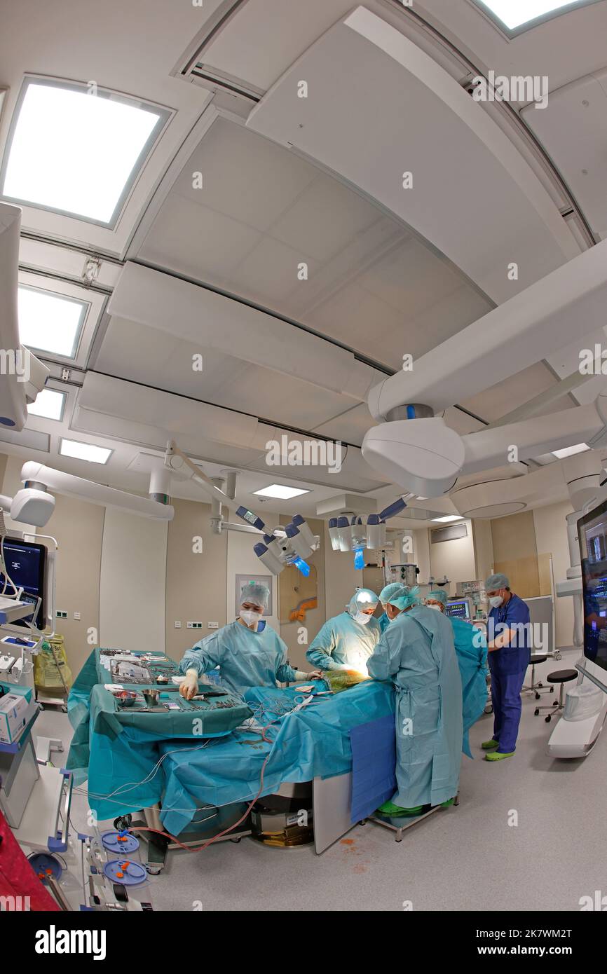 Dorothea erxleben Banque de photographies et d’images à haute ...