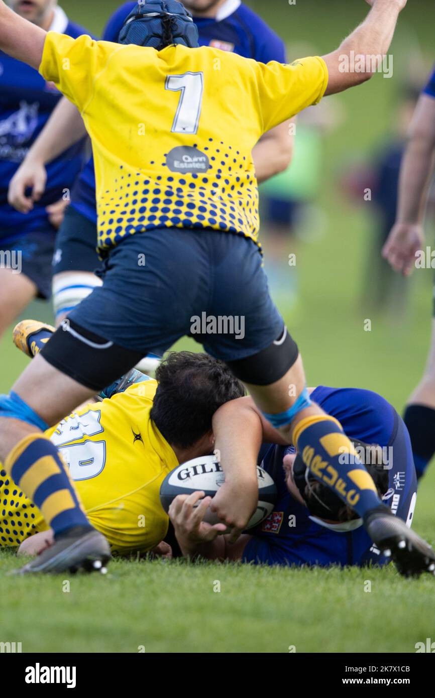 Mêlée rugby arbitre Banque de photographies et d’images à haute ...