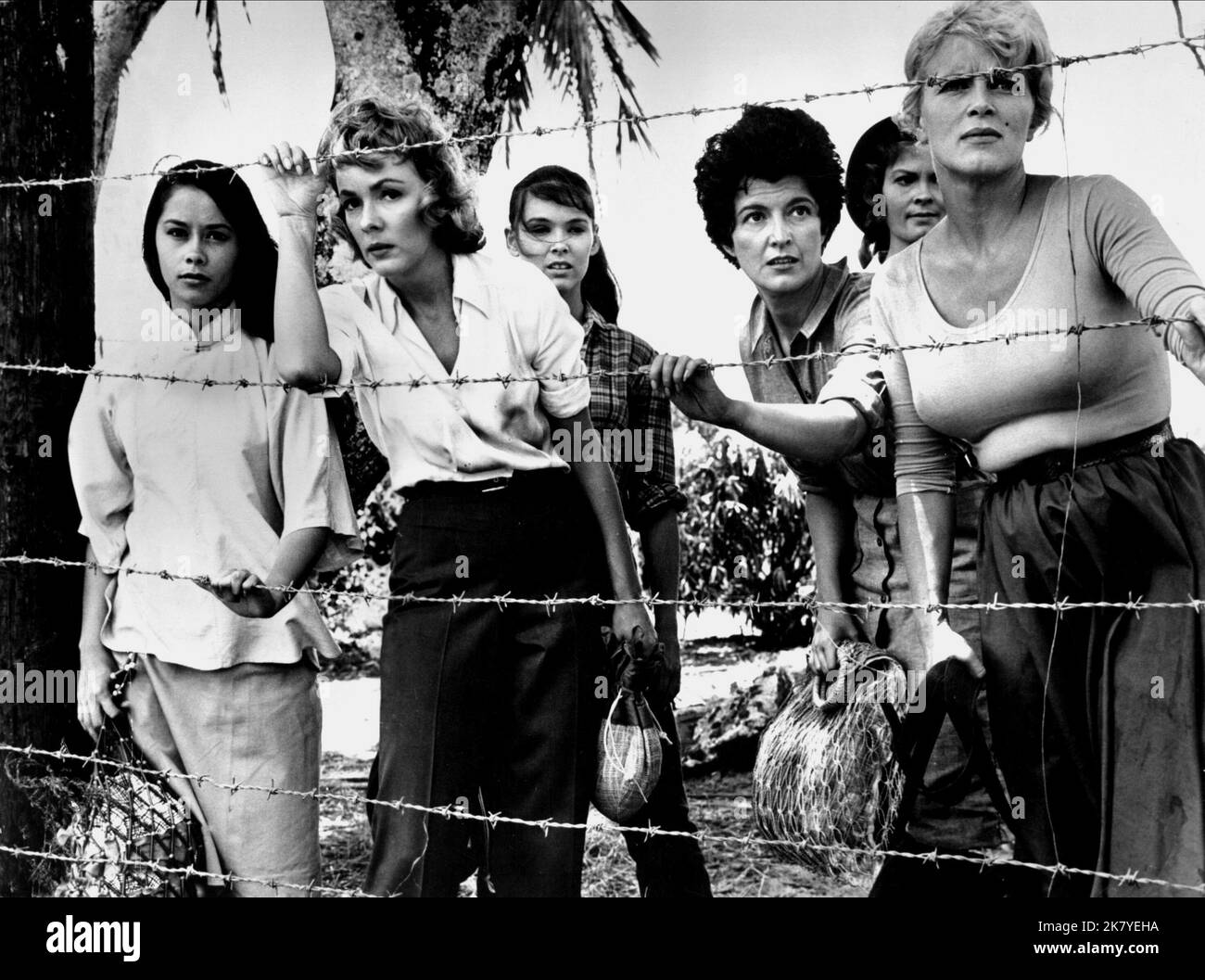 Pilar seurat Banque de photographies et d’images à haute résolution - Alamy