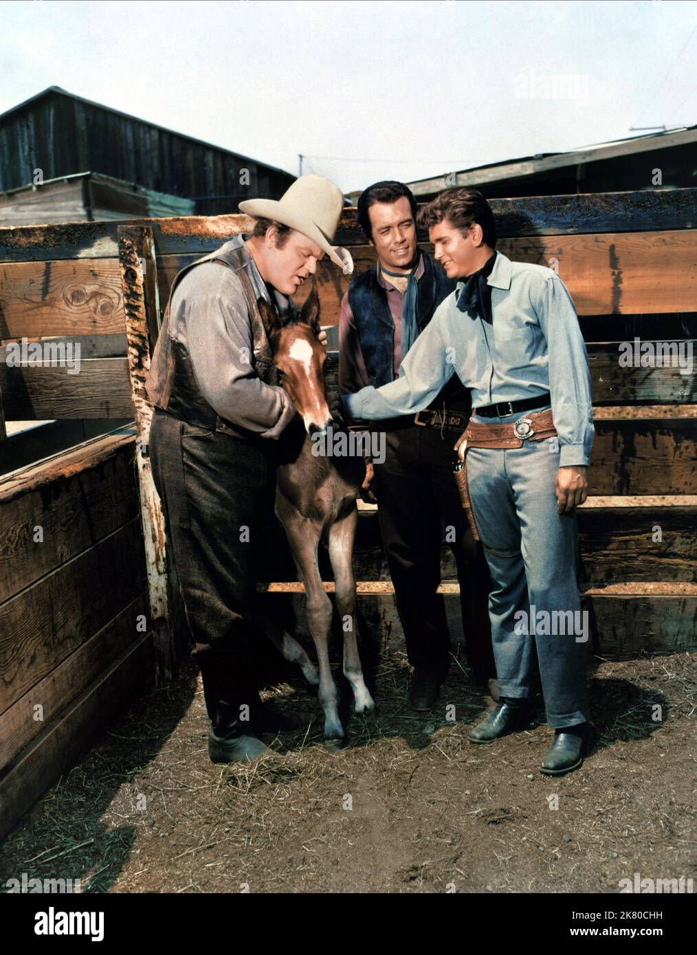 DaN Blocker, Pernell Roberts et Michael Landon Television: Bonanza (TV ...