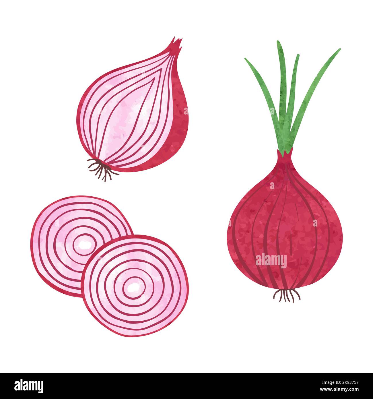 Oignons rouges entiers Banque d'images vectorielles - Alamy