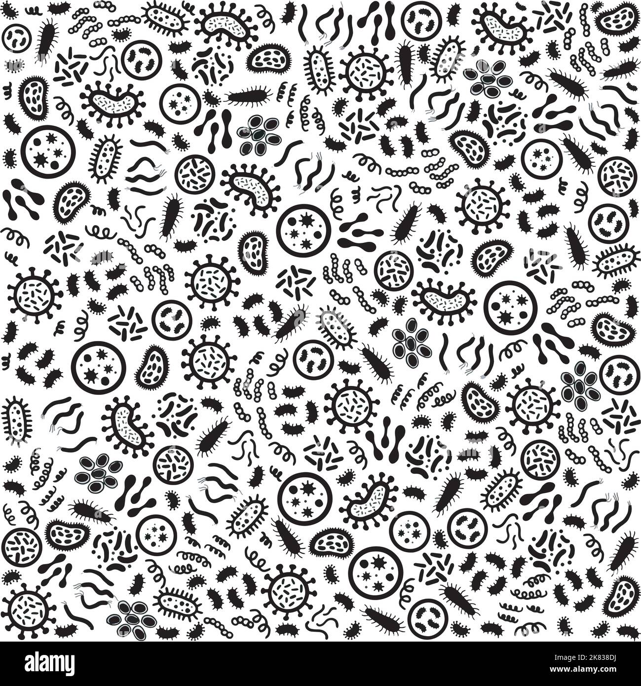 Tipos de bacterias microbiologia Banque d'images vectorielles - Alamy