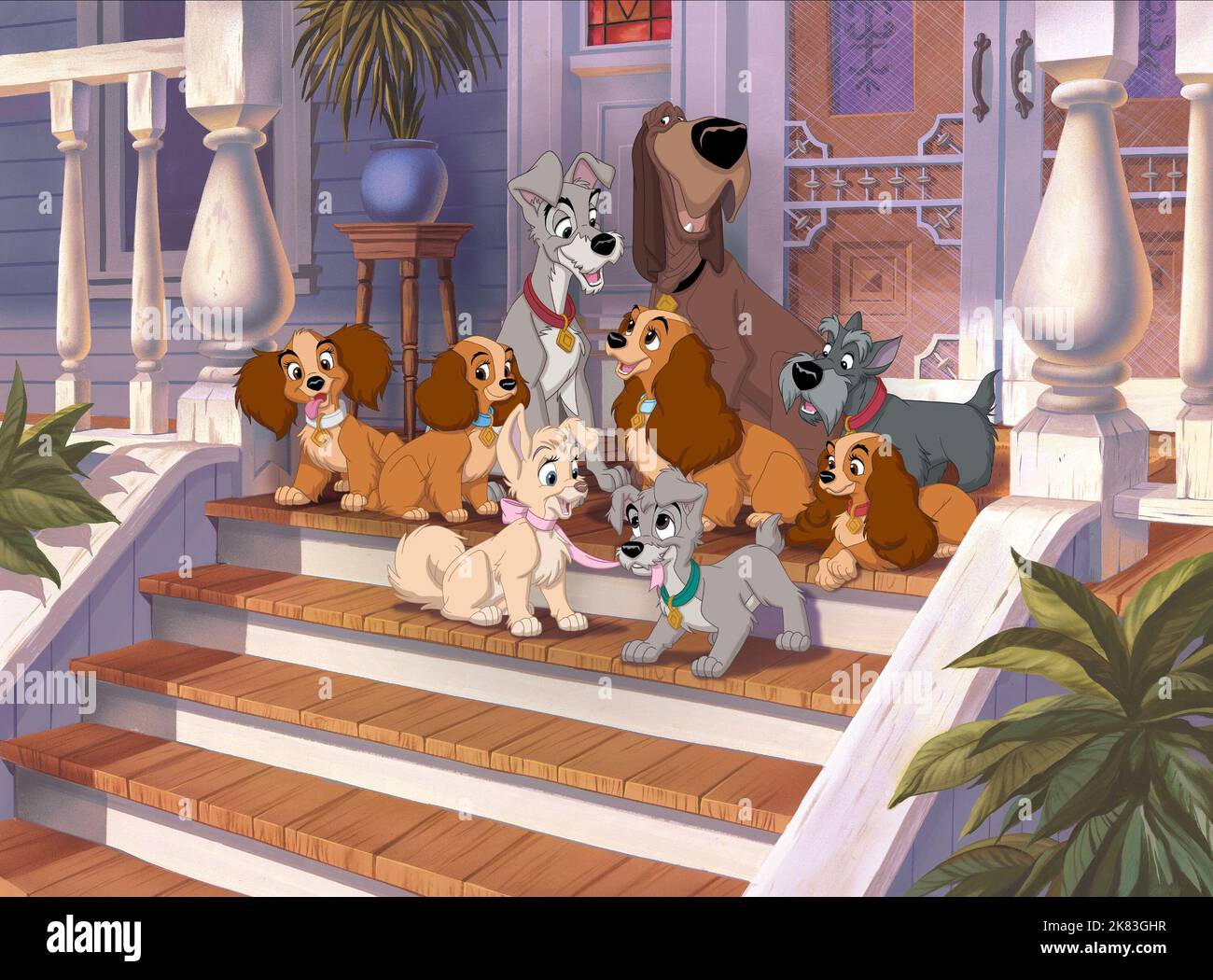Angel, Scamp, Danielle, Annette, Lady, Colette, Trap, Trusty & Jock ...