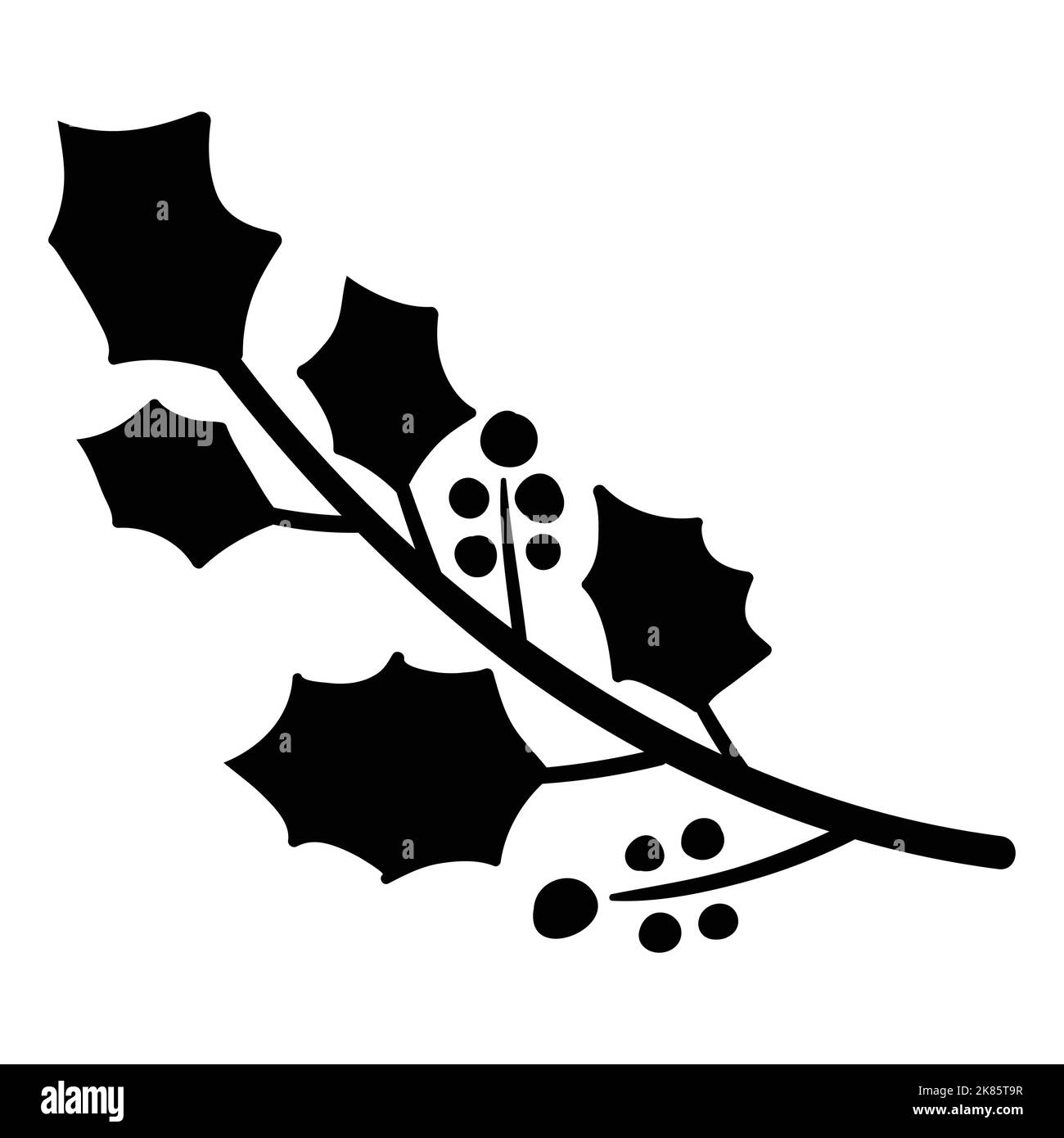 Feuilles de houx de Noël avec baies rouges Illustration vectorielle, pour noël et élément du ...