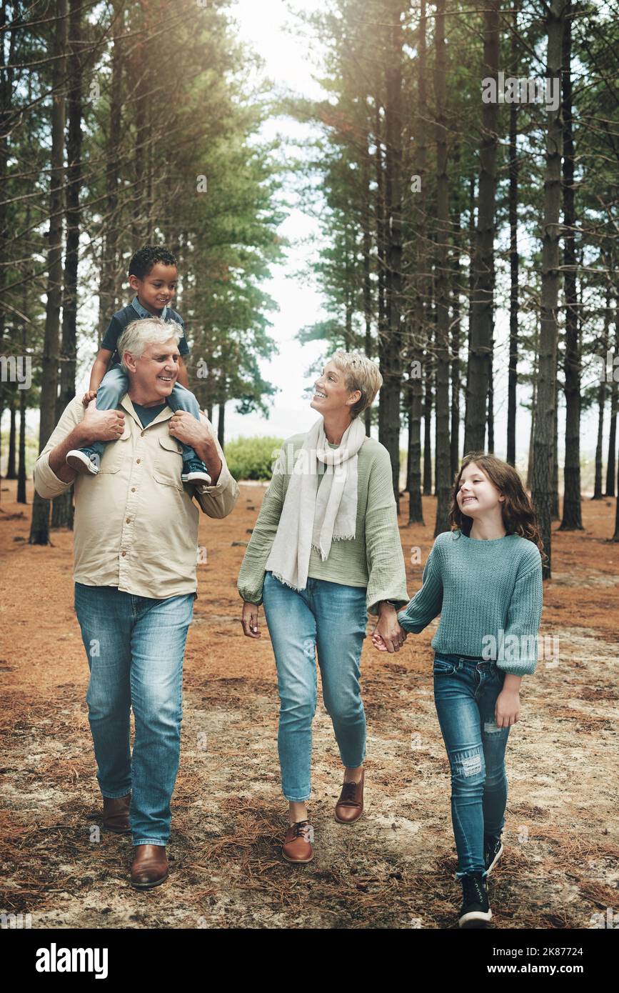Famille, grands-parents et enfants dans l'aventure forestière ensemble ...