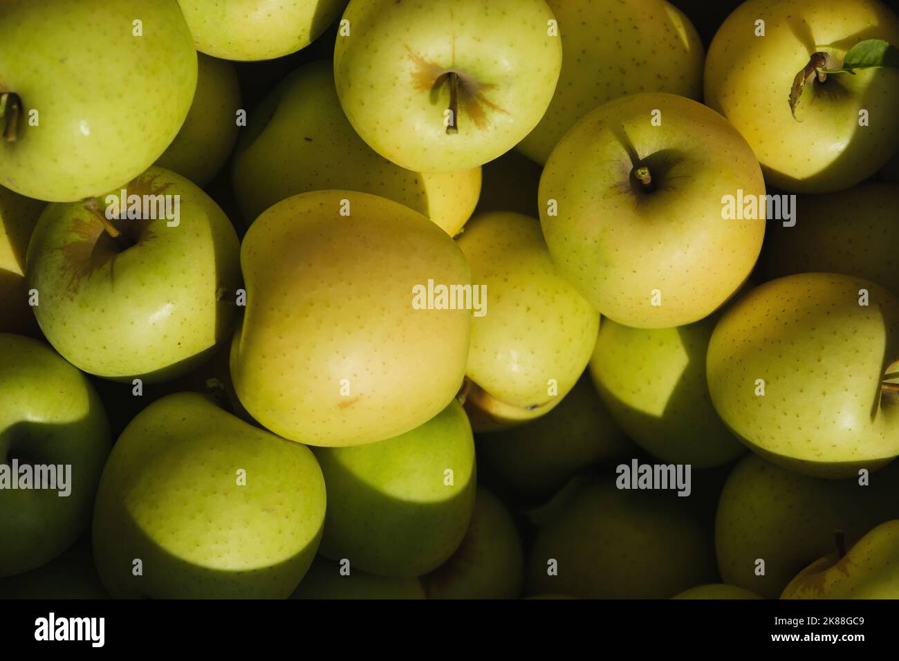 Mange des pommes Banque de photographies et d’images à haute résolution ...