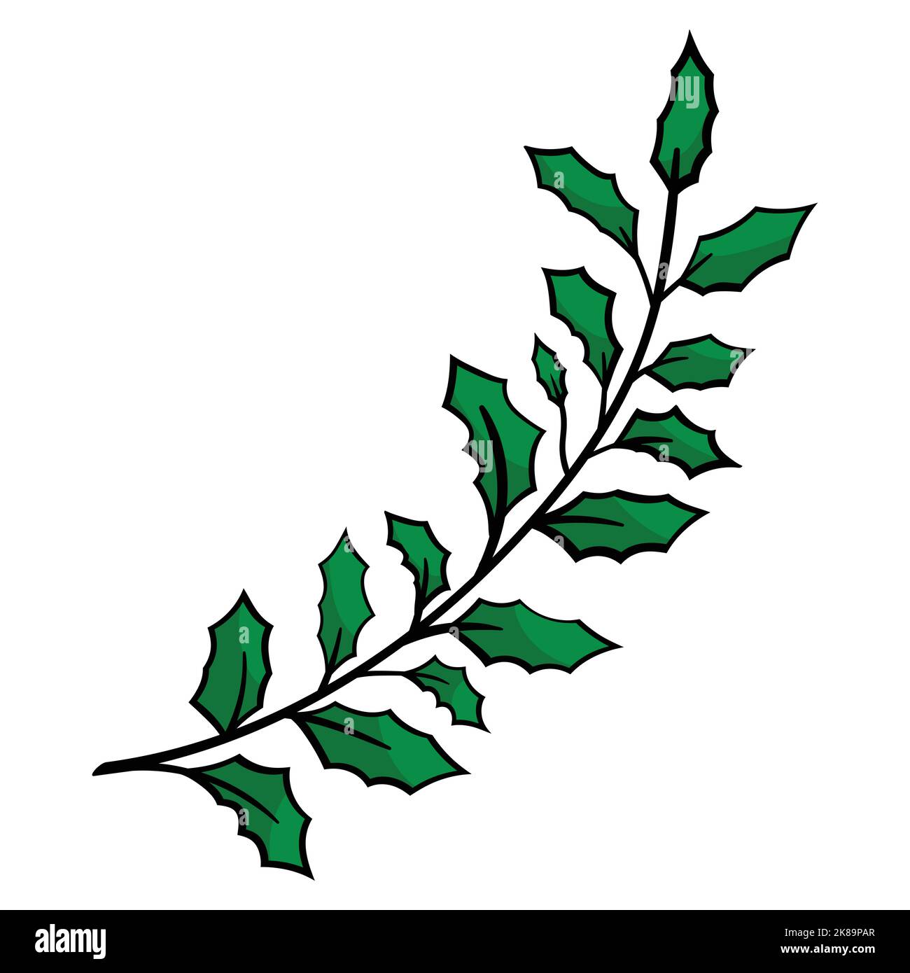 Clipart de feuille de houx Banque d'images vectorielles - Alamy