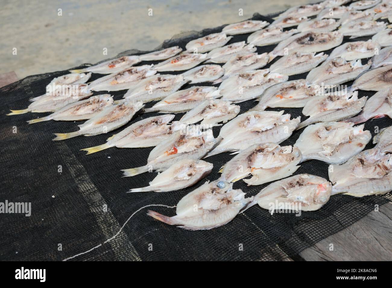 Pulau omadal Banque de photographies et d’images à haute résolution - Alamy