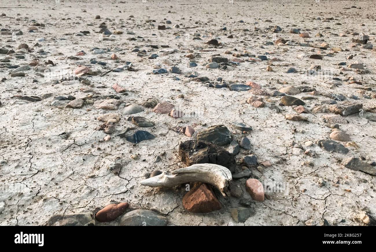 Fond sec de terre fissuré, sécheresse. Le fond séché de la rivière. Une ...