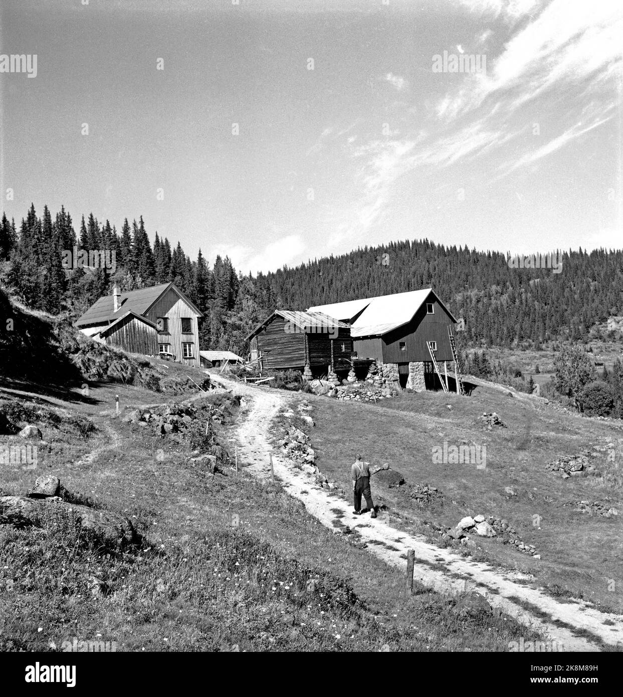 Flatdal dans Telemark, août 1959. Fjellgården Ekre est à 600 mètres au ...