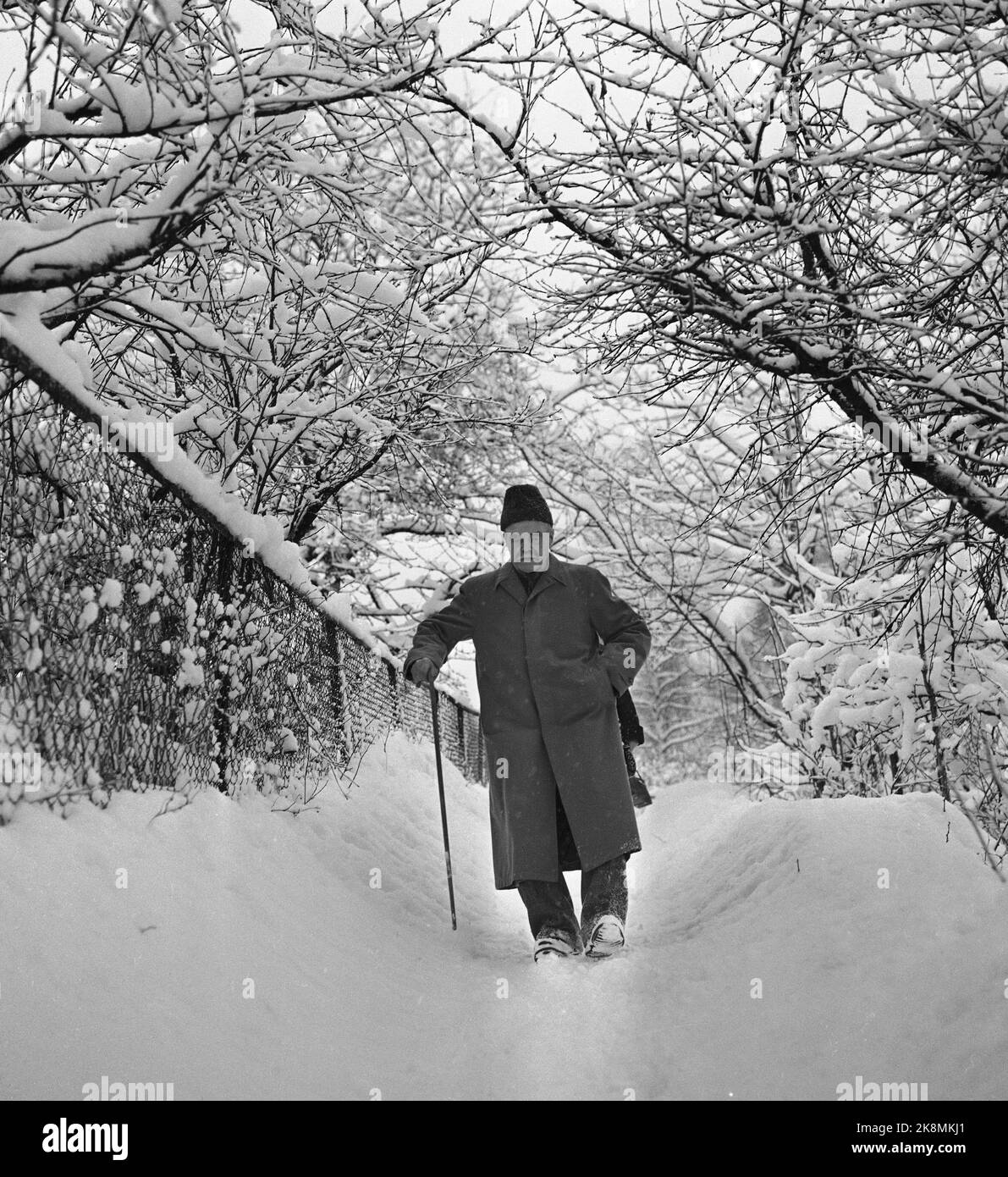 Le TÉLÉMARQUE 19580220 Olav Bjaaland, le dernier explorateur polaire ...