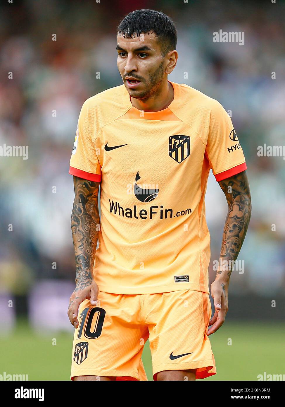 Angel Correa de l'Atletico de Madrid pendant le match de la Liga entre ...