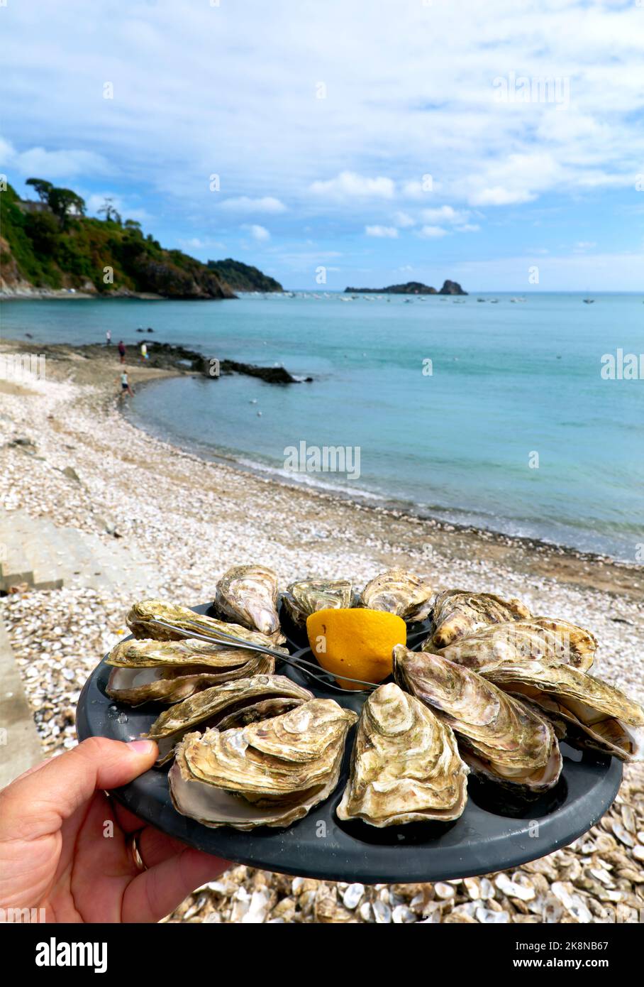 Huitres de bretagne Banque de photographies et d’images à haute ...