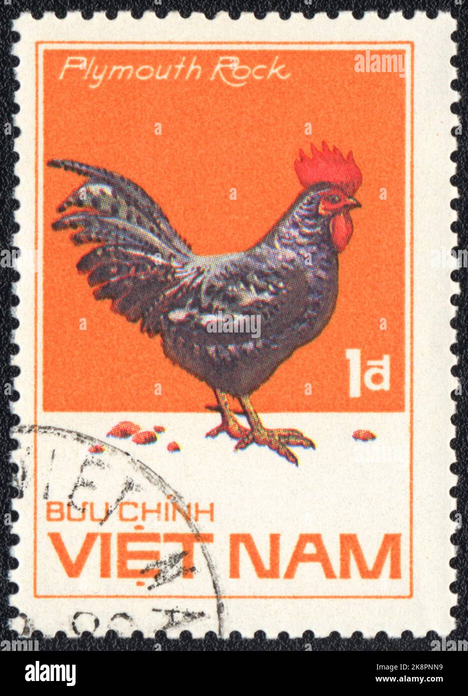 Un timbre imprimé au VIETNAM montre le coq de Plymouth Rock, de la ...