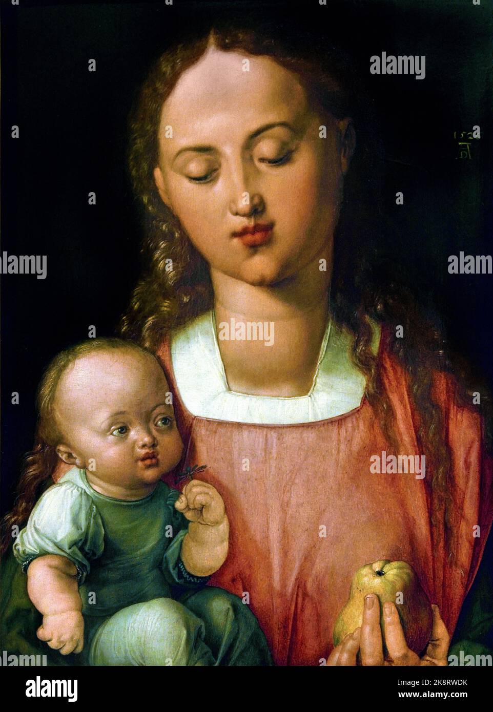 Vierge du Pear 1526 par Albrecht Dürer 1471 - 1528 Allemagne allemande ...