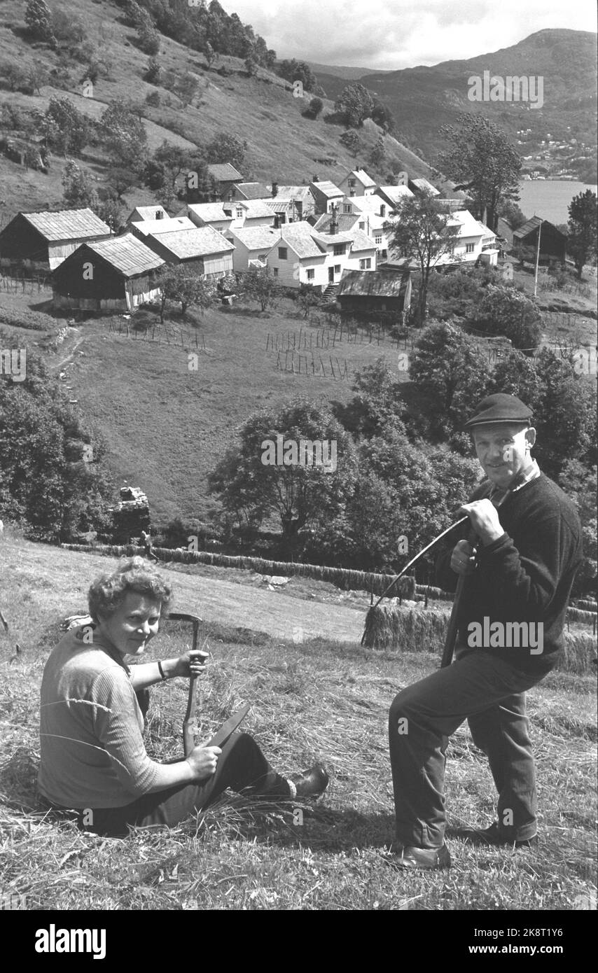 Osterøy 19680727. Havråtunet à Osterøy dans Hordaland est une cour où ...