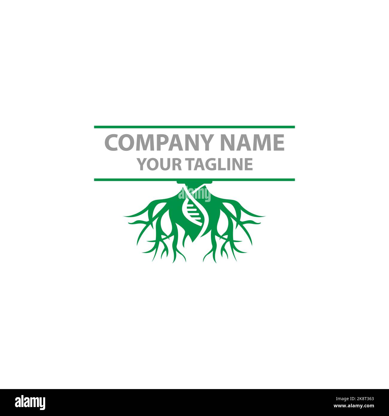 Feuilles de racines Banque d'images vectorielles - Alamy