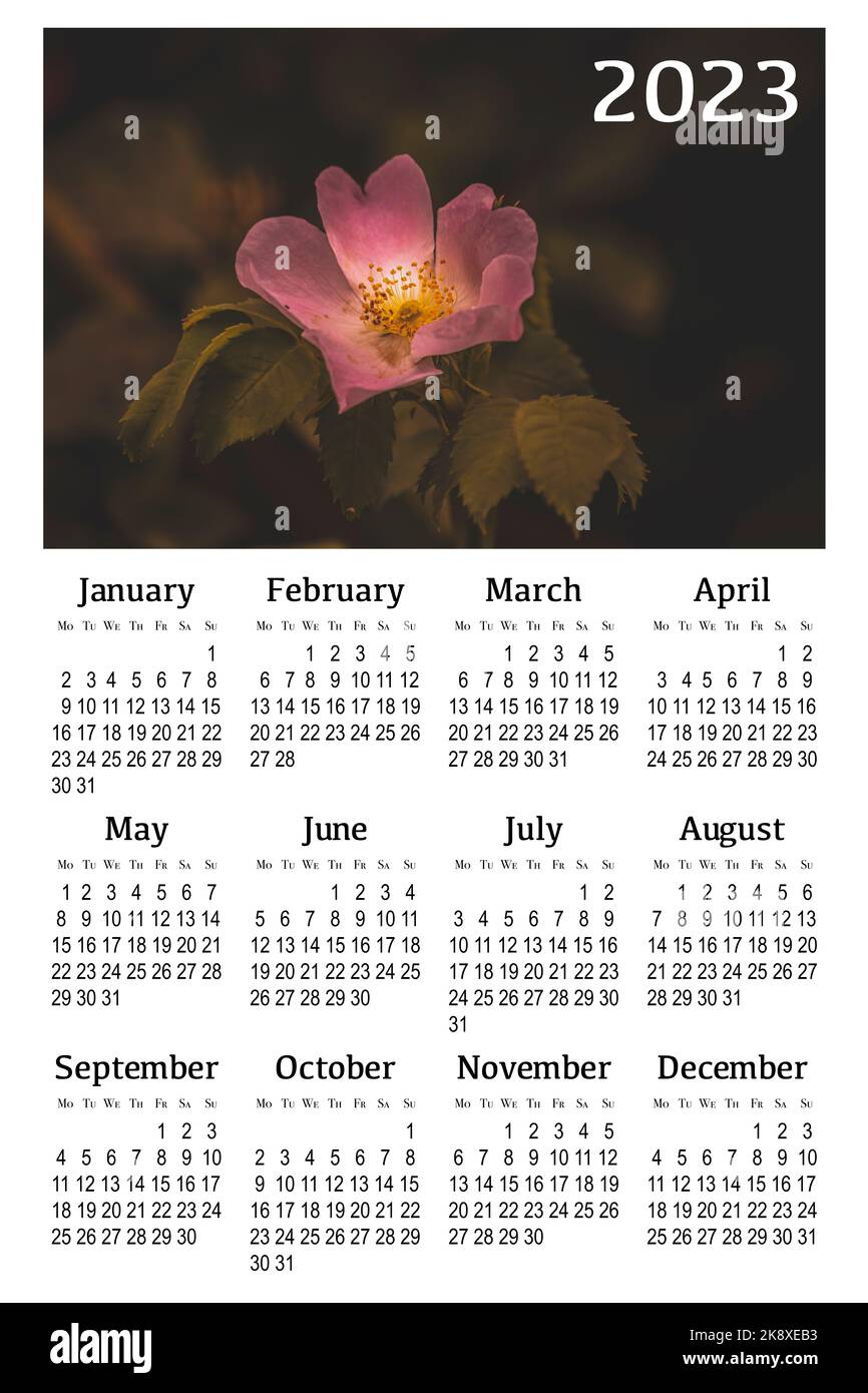 Calendrier 2023 a imprimer Banque de photographies et d’images à haute ...
