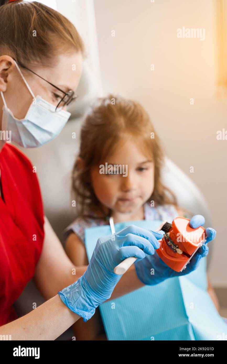 Leçon d'hygiène buccale du modèle anatomique de la mâchoire pour l ...