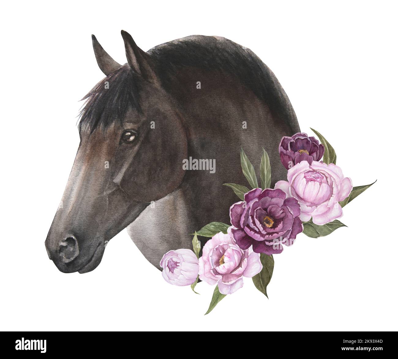 Cheval marron foncé Banque d'images détourées - Alamy