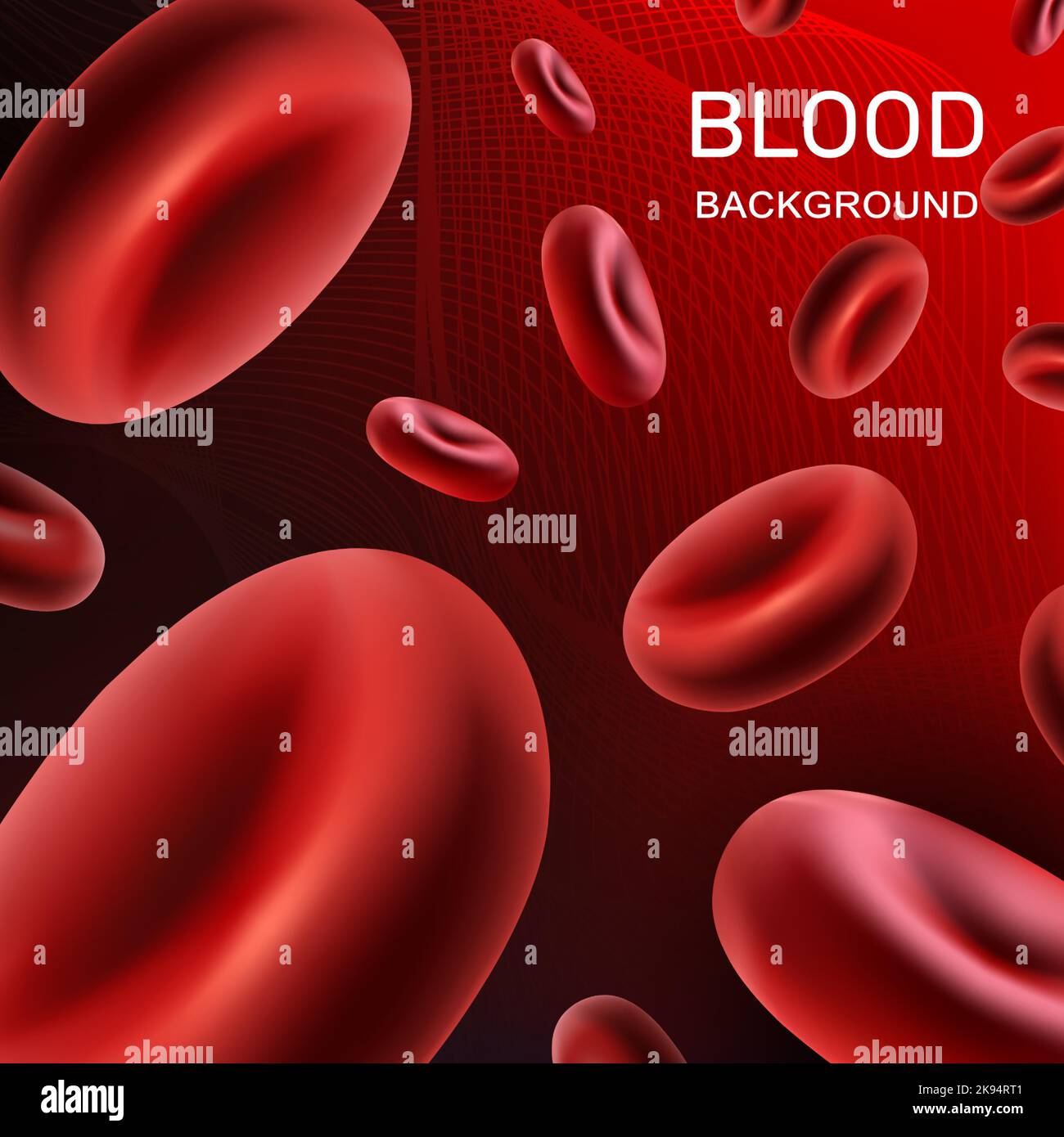 Anatomie cardiaque et vaisseaux sanguins Banque d'images vectorielles ...