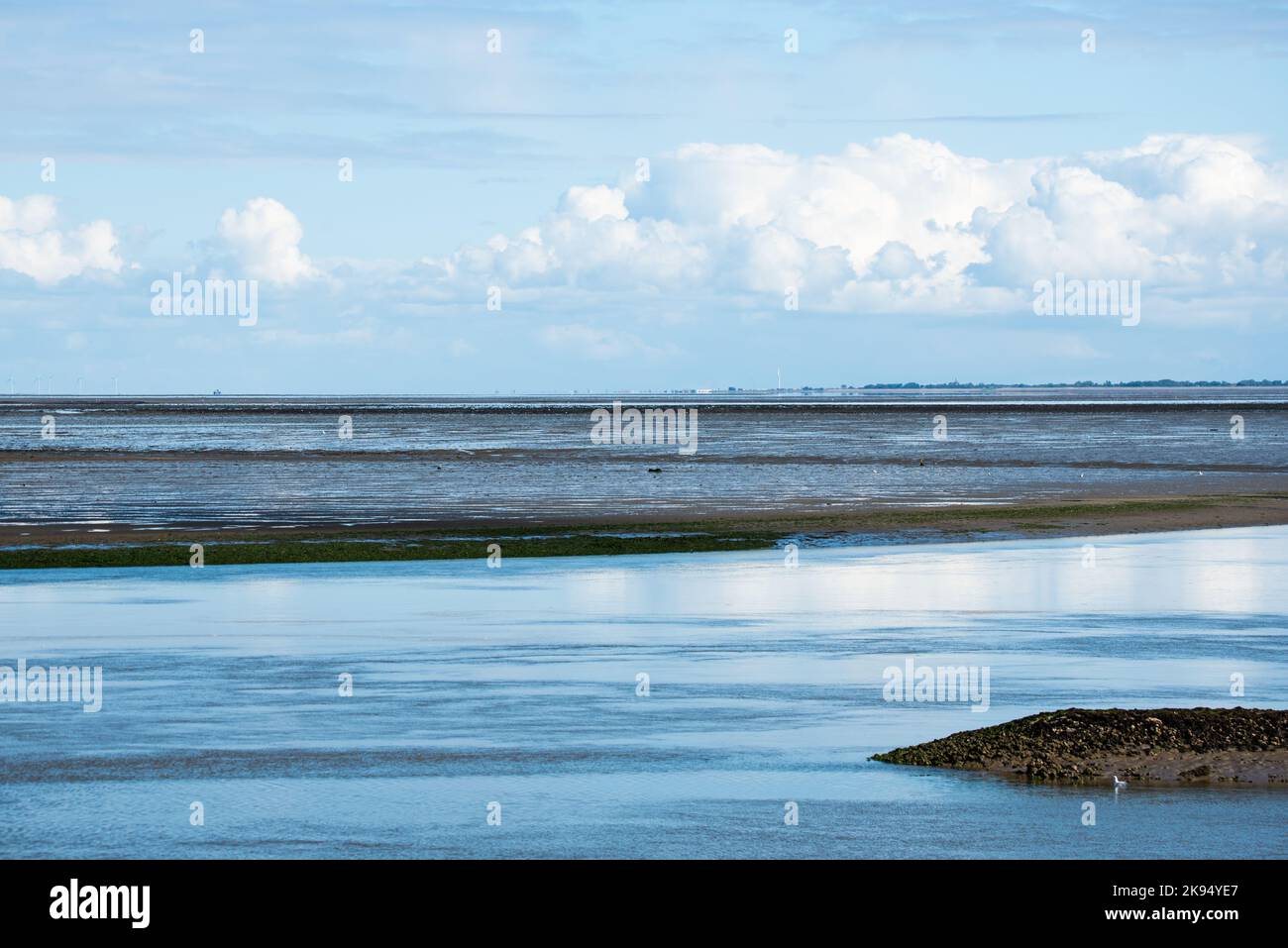 Le kuitje Banque de photographies et d’images à haute résolution - Alamy