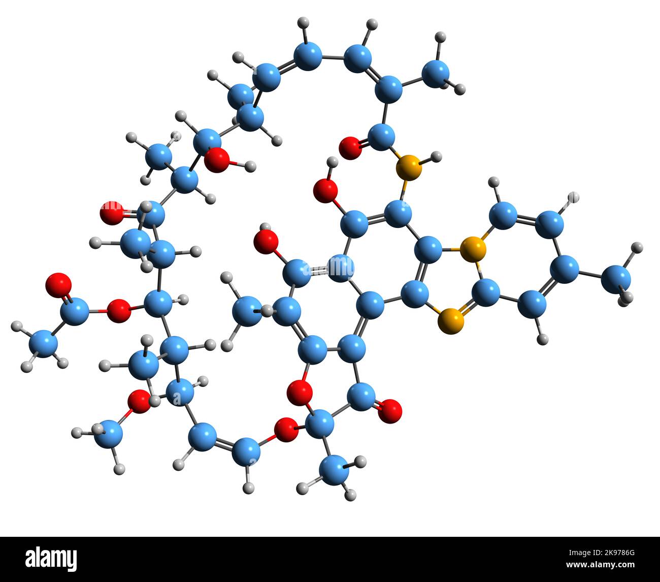 Petite prolifération bactérienne intestinale Banque de photographies et ...