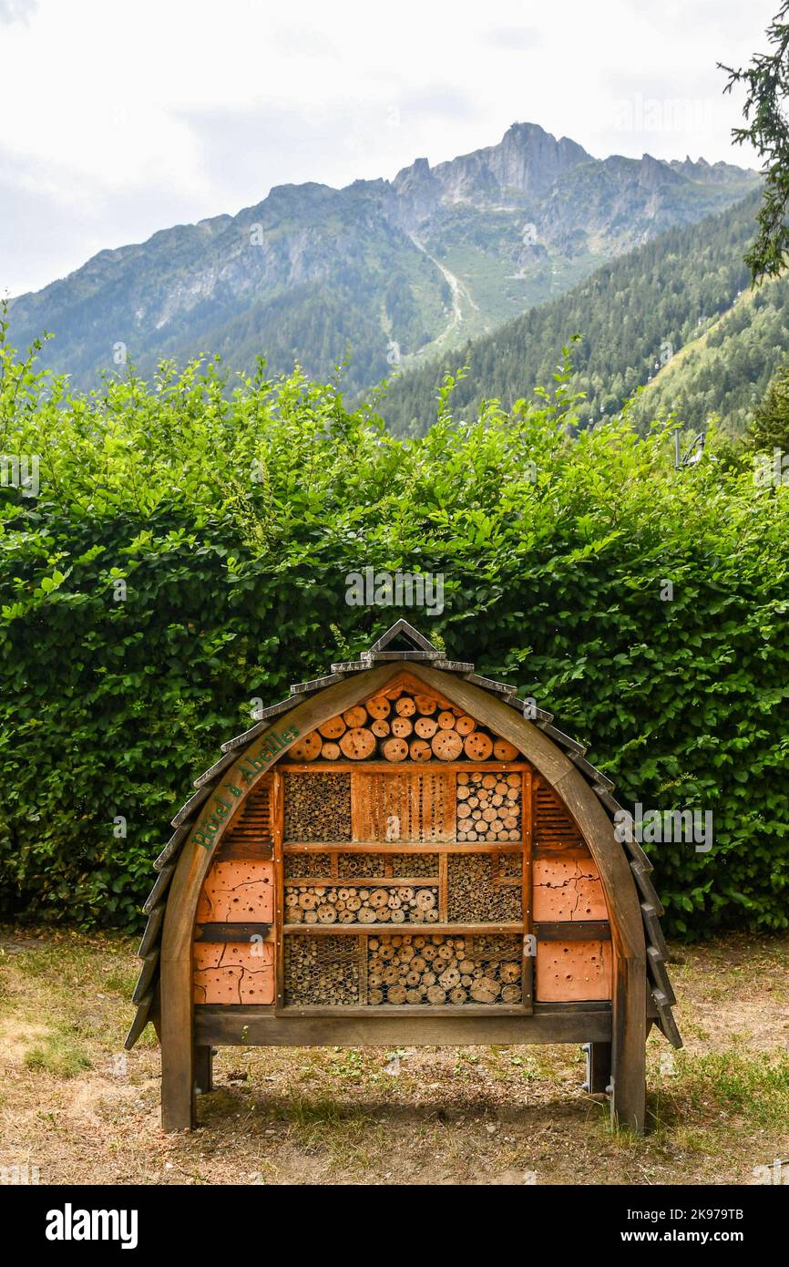 Un hôtel d'insectes pour protéger les abeilles et sensibiliser le ...