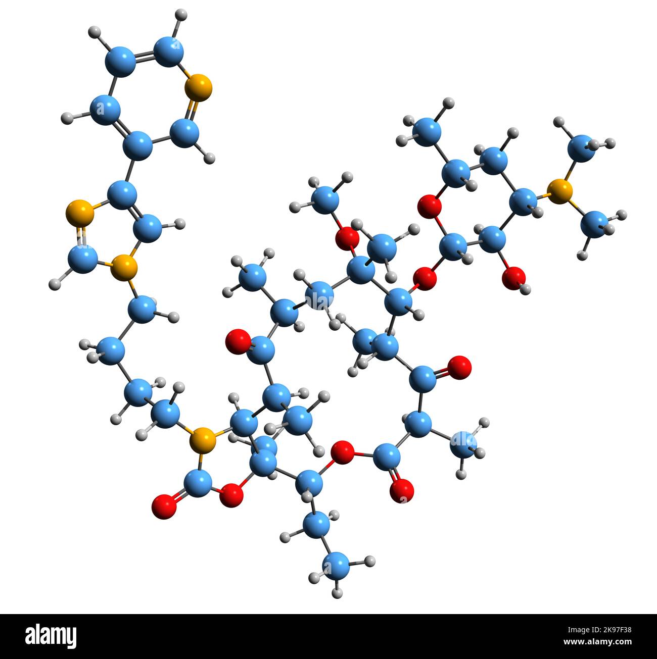 Gram negative bacteria batonnet Banque de photographies et d’images à ...