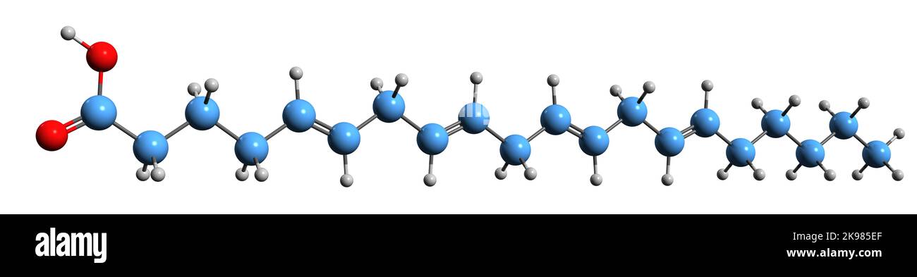3D image de la formule squelettique de l'acide arachidonique ...
