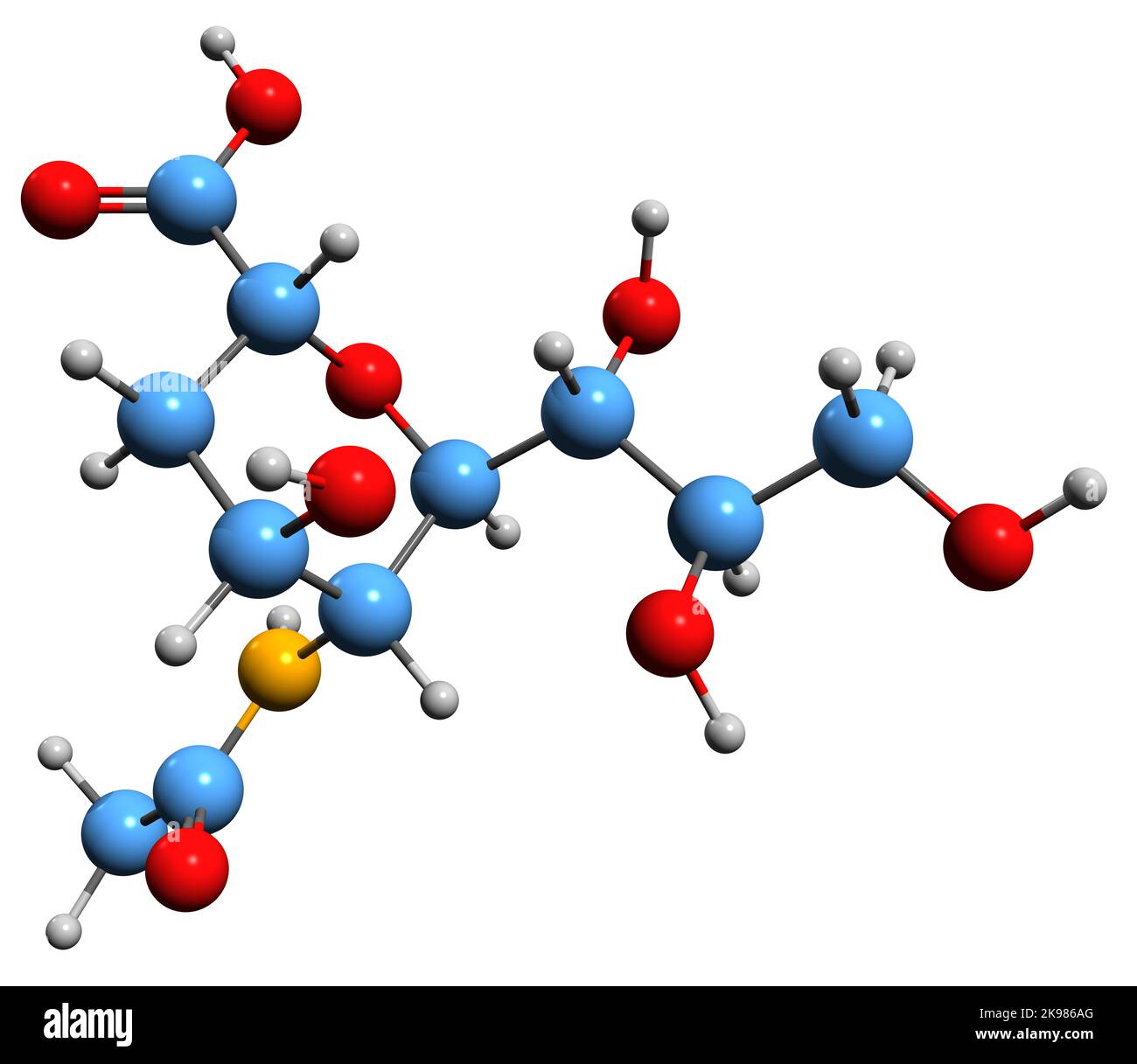 3D image de la formule squelettique de l'acide N-acétylneuraminique ...