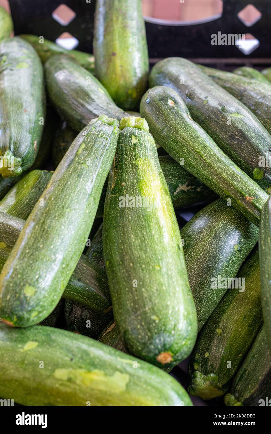Long légume vert Banque de photographies et d’images à haute résolution ...