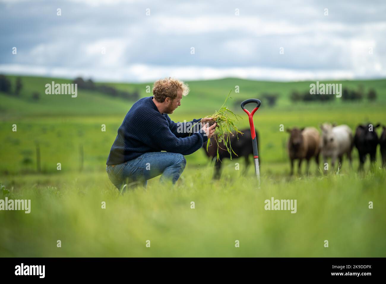 agronome agronome de la science du sol, qui étudie les échantillons de ...