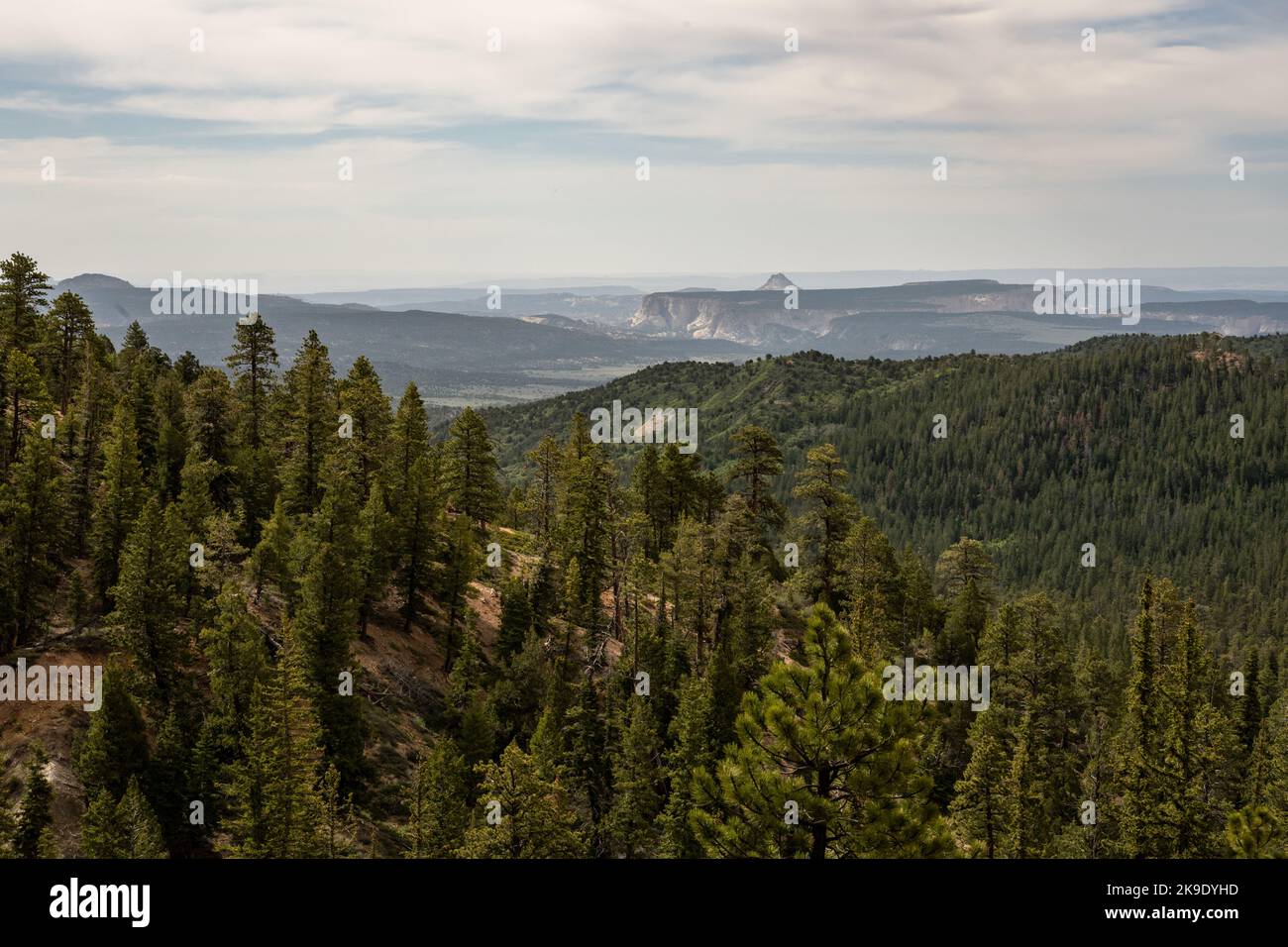 Riggs spring Banque de photographies et d’images à haute résolution - Alamy