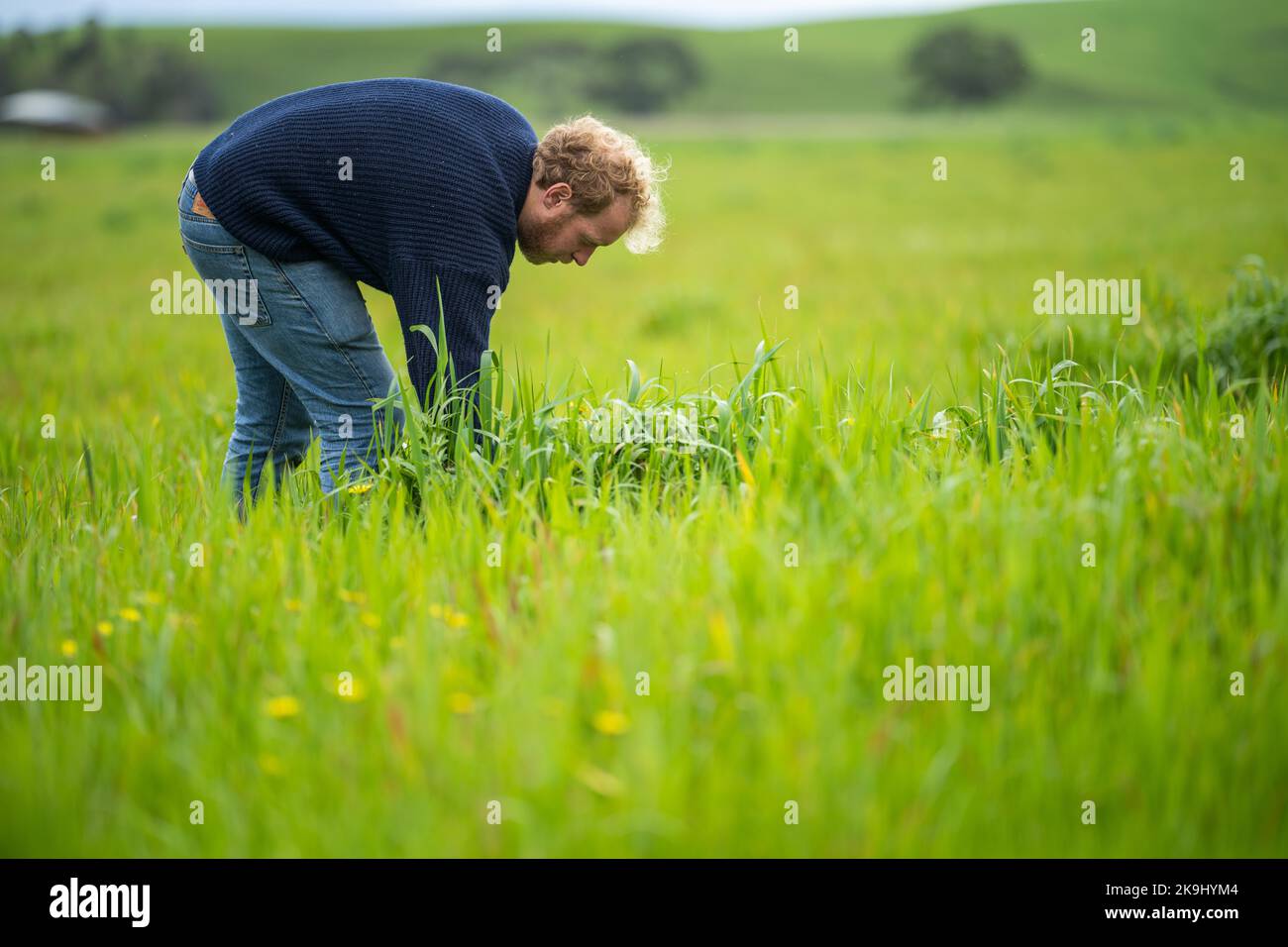 Soil scientist Banque de photographies et d’images à haute résolution ...