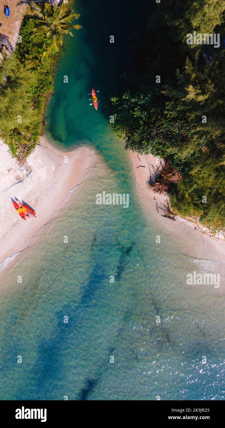 Quelques hommes et femmes font du kayak dans la forêt tropicale de l ...