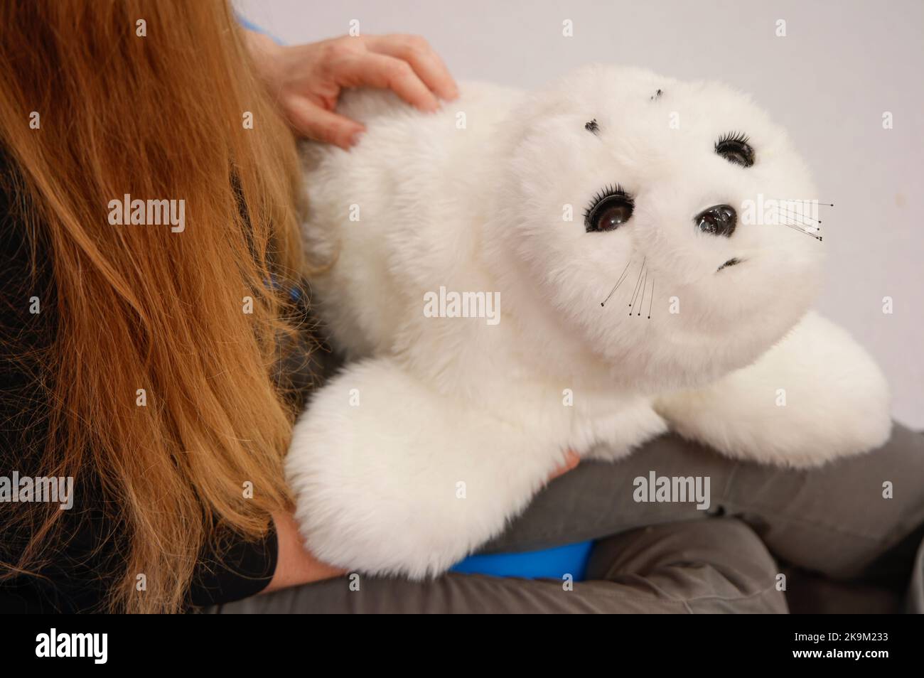 Paro robot Banque de photographies et d’images à haute résolution - Alamy