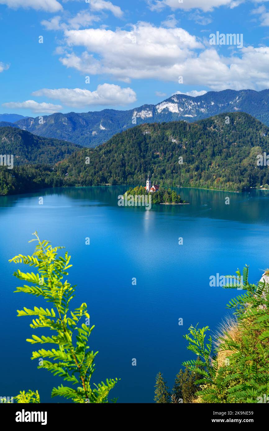 Vue sur le lac de Bled et l'île de Bled depuis le château de Bled, le ...