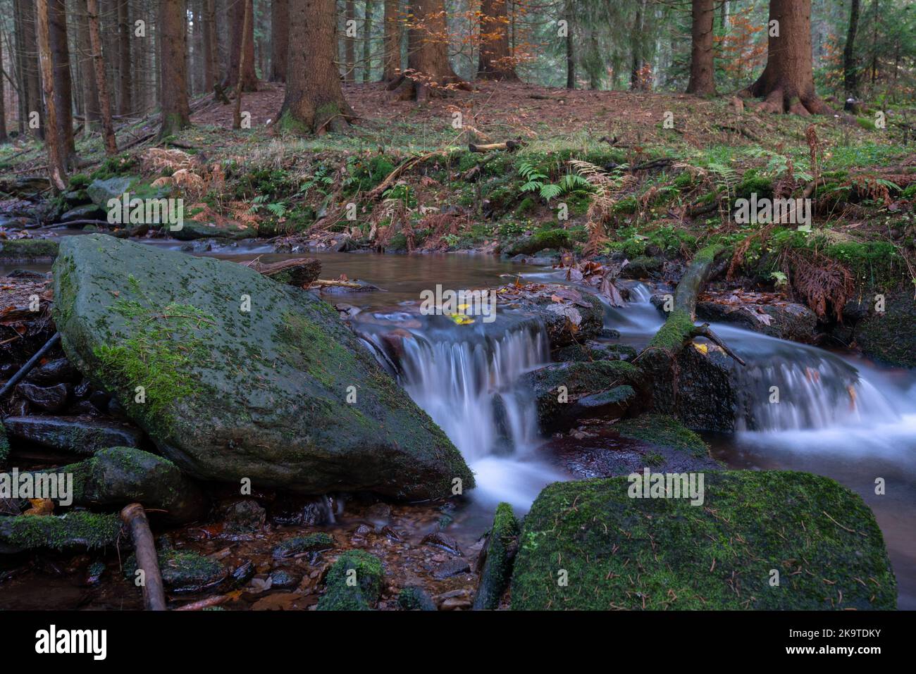 Petits rapides sur le ruisseau 'Anenský potok', région 'Orlické hory ...