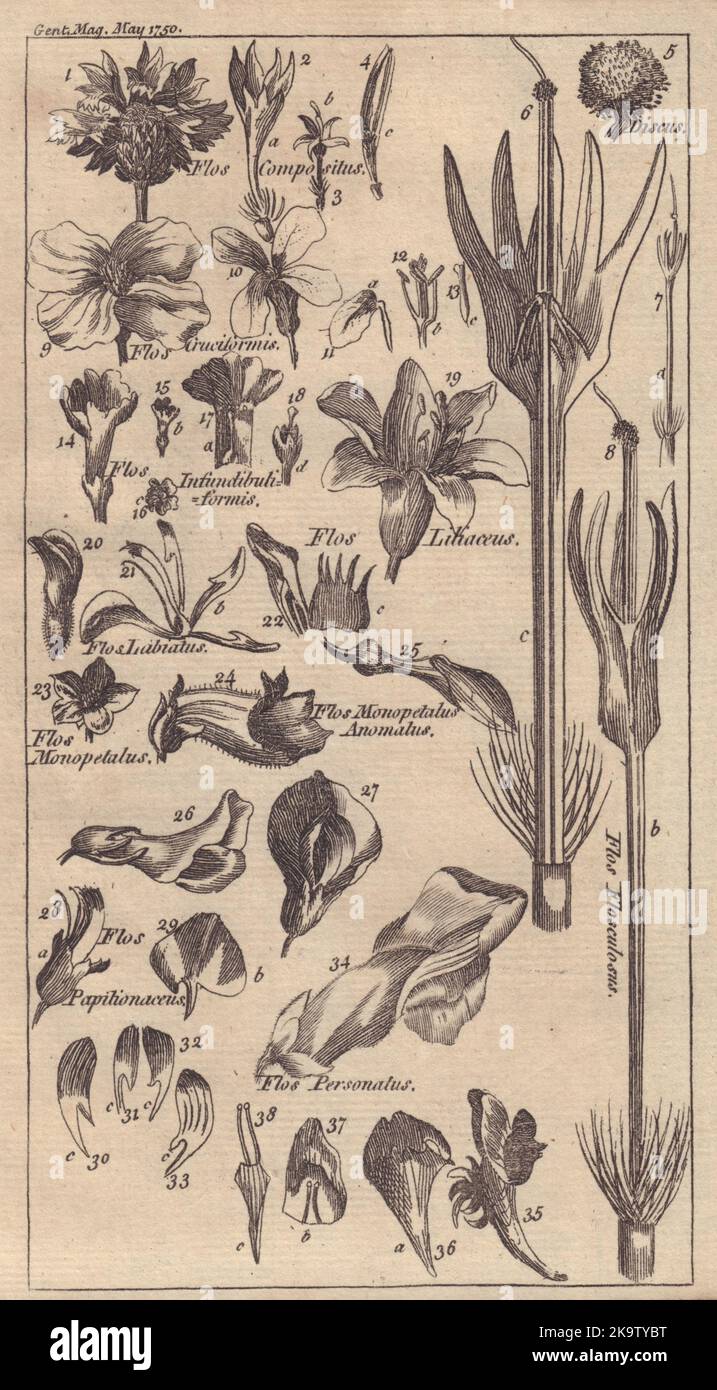 Trente-quatre Figures de fleurs, explication des noms scientifiques de ...