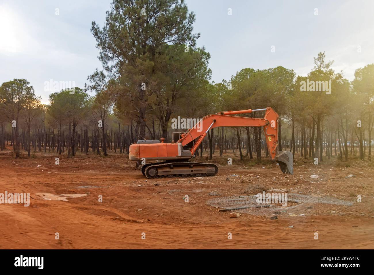 Pelle hydraulique travaillant en forêt. Niveaux sol argileux dans la ...