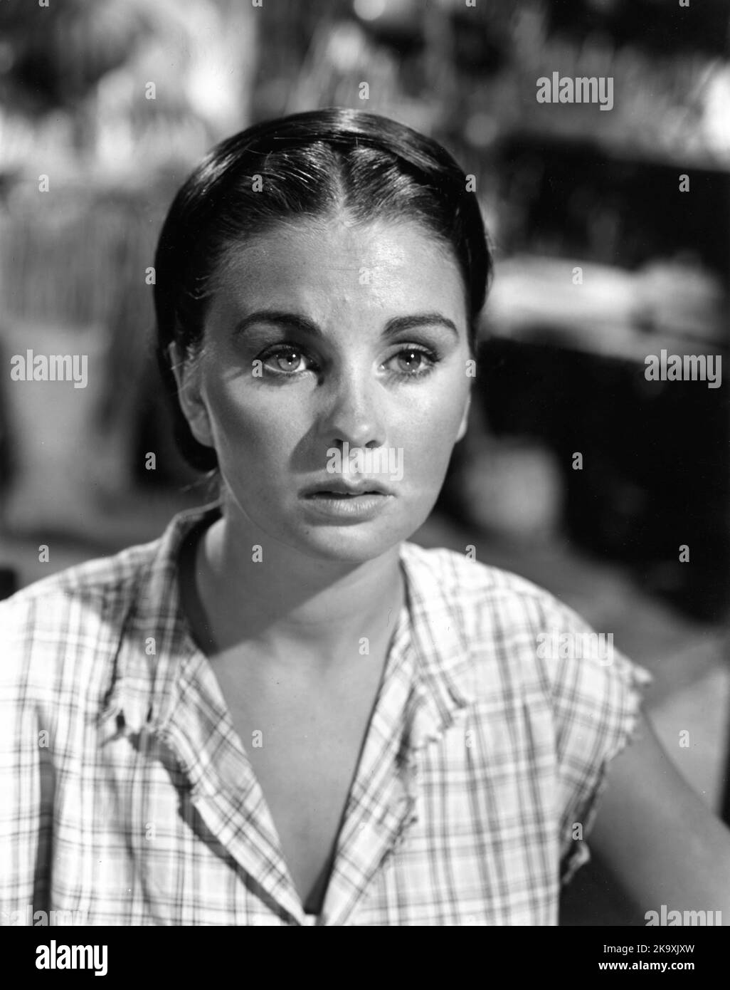 The blue lagoon 1949 jean simmons Banque de photographies et d’images à ...